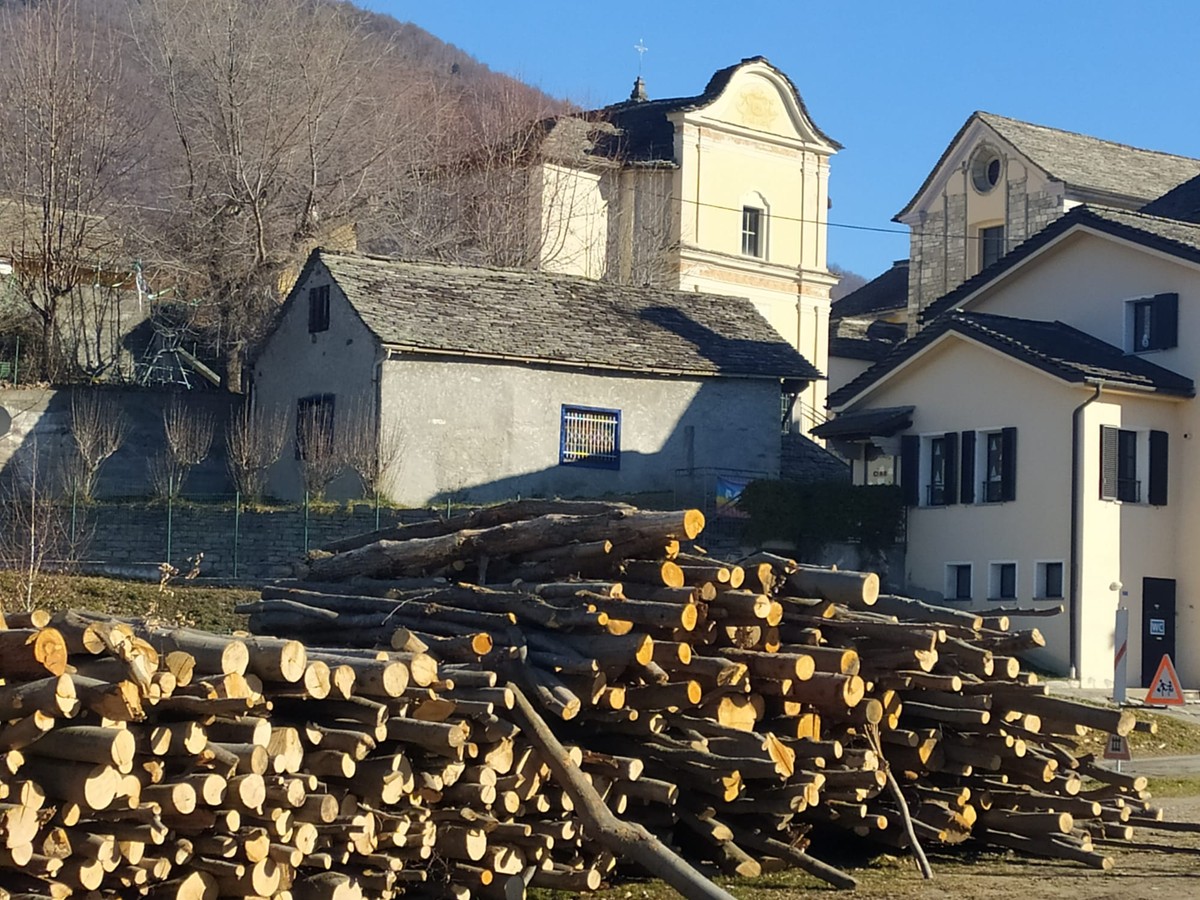 Trontano, per i residenti legna da ardere a prezzo vantaggioso ...