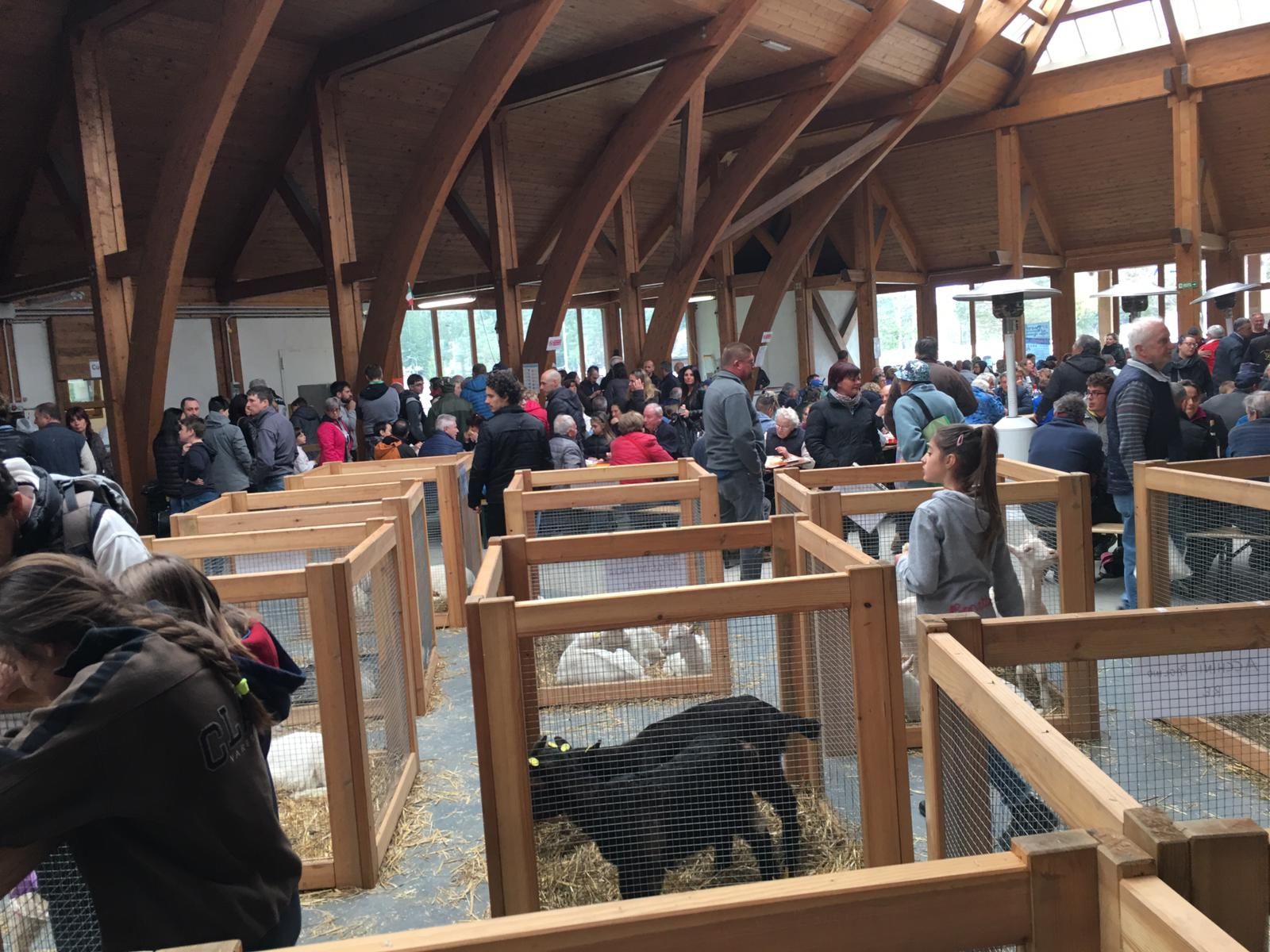 Torna la Mostra del Capretto tipico vigezzino - Ossolanews.it